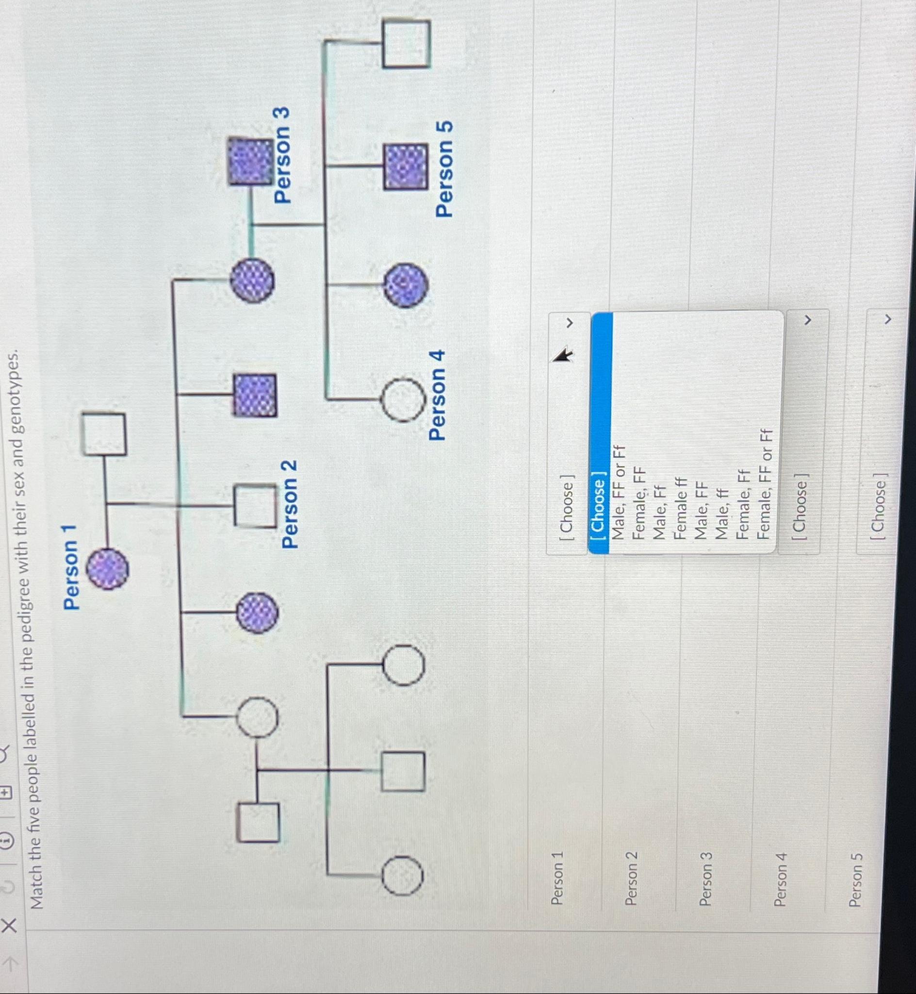 Match the five people labelled in the pedigree with | Chegg.com