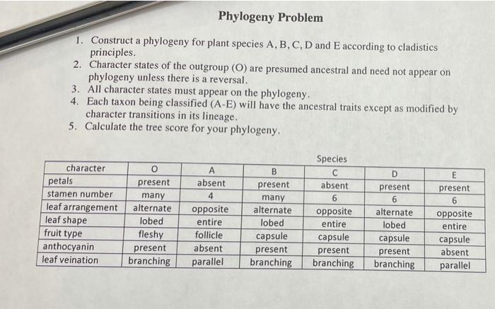 Solved Phylogeny Problem 1. Construct a phylogeny for plant | Chegg.com