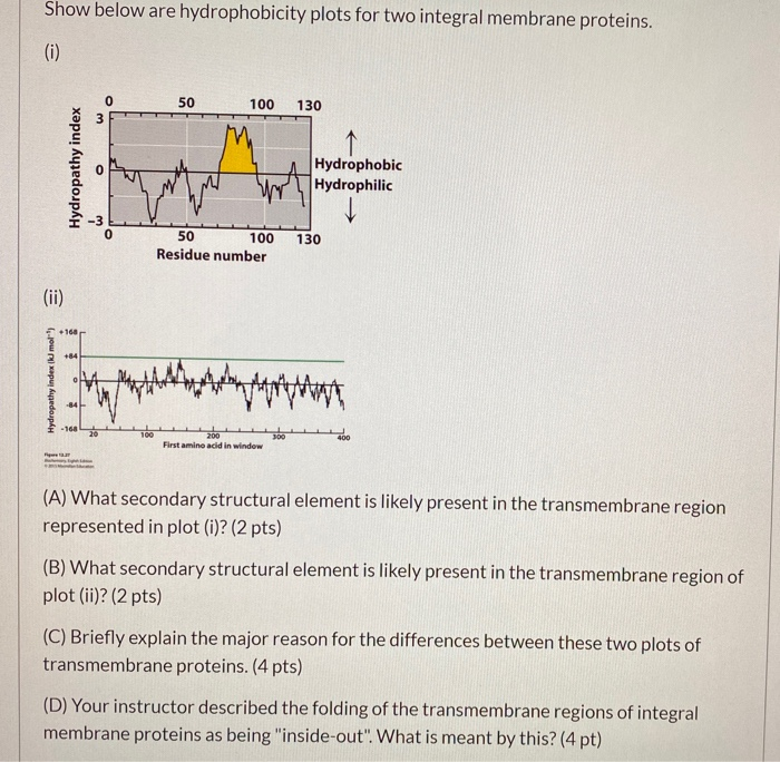 Show below are hydrophobicity plots for two integral | Chegg.com