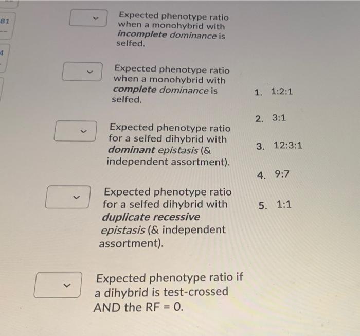Solved 81 Expected phenotype ratio when a monohybrid with | Chegg.com