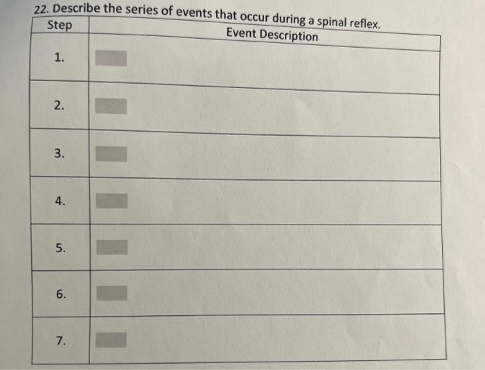 Solved 22. Describe the series of events that occur during a | Chegg.com