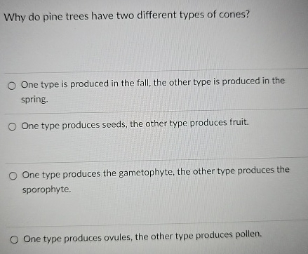 Solved Why do pine trees have two different types of | Chegg.com