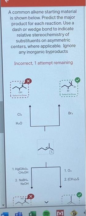 Solved W A common alkene starting material is shown below. | Chegg.com