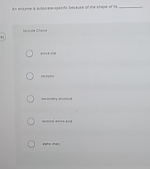 Solved An enzyme is substrate-specific because of the shape | Chegg.com