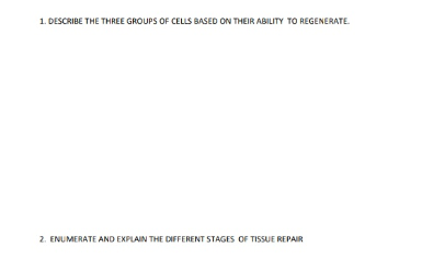 Solved An example of a permanent cell type present in the | Chegg.com