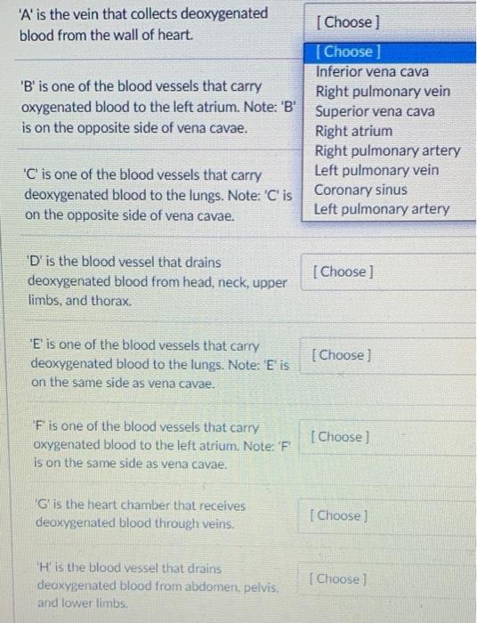 Solved 'A' is the vein that collects deoxygenated blood from | Chegg.com