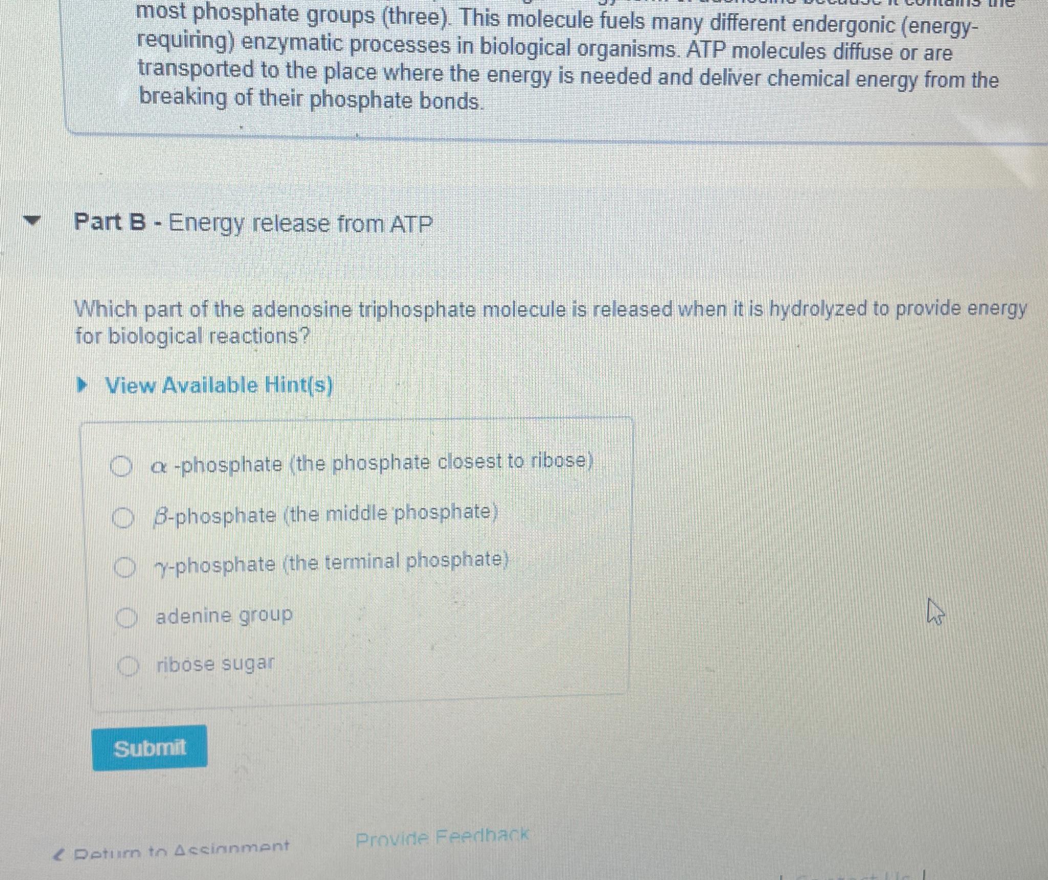 Solved most phosphate groups (three). ﻿This molecule fuels | Chegg.com