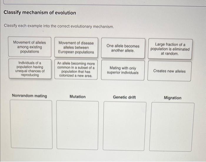 Solved Classify each example into the correct evolutionaru | Chegg.com