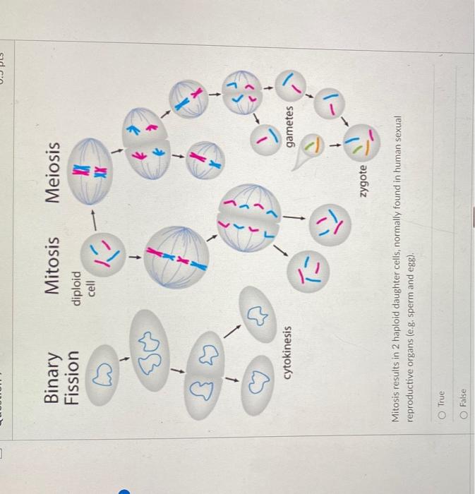 Solved Crossing over in prophase I of meiosis results in | Chegg.com