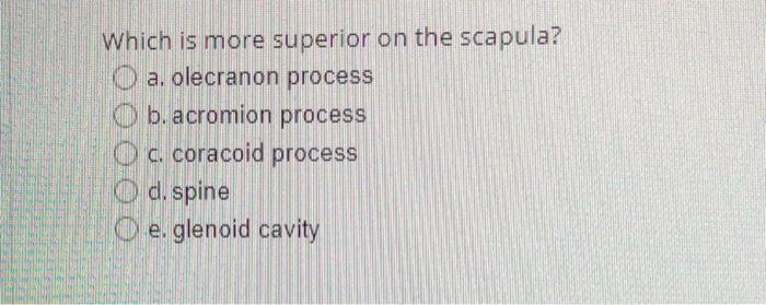 Solved Which is more superior on the scapula? a. olecranon | Chegg.com