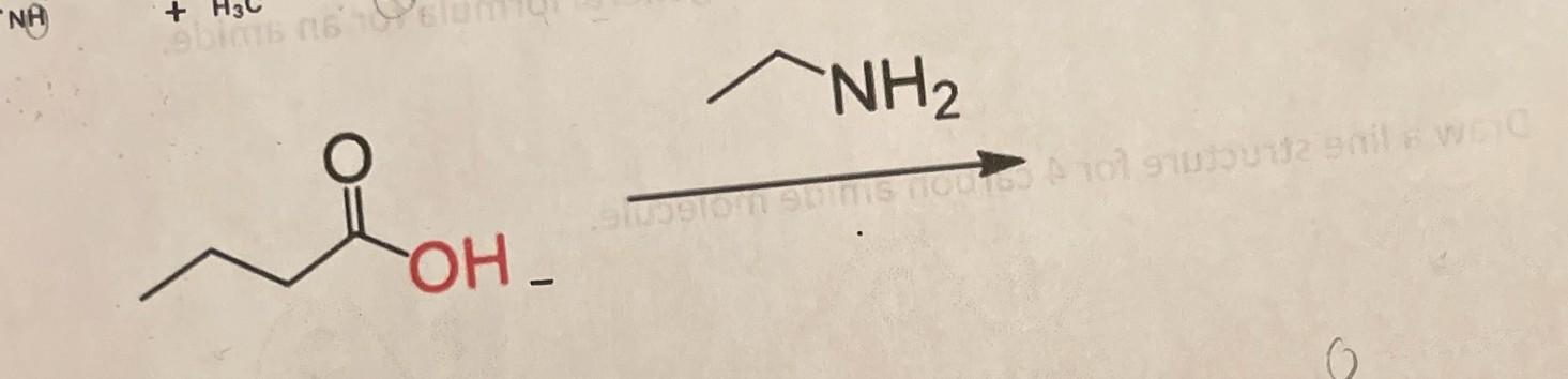 Solved NH2 | Chegg.com