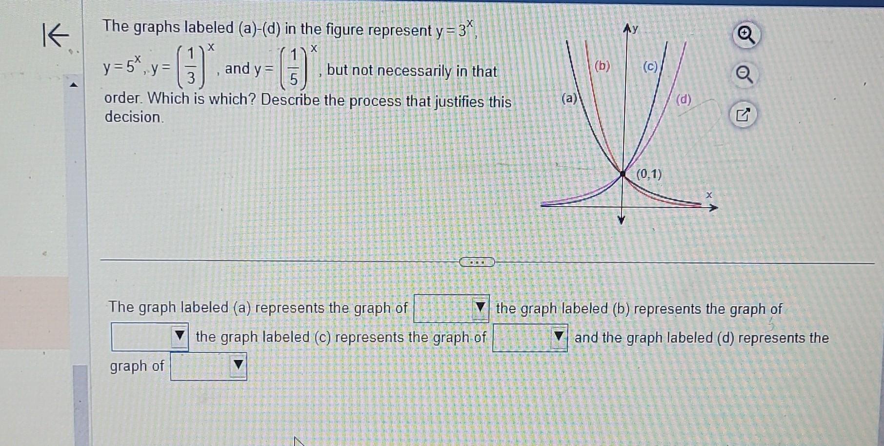 Solved The Graphs Labeled A D In The Figure Represent Y