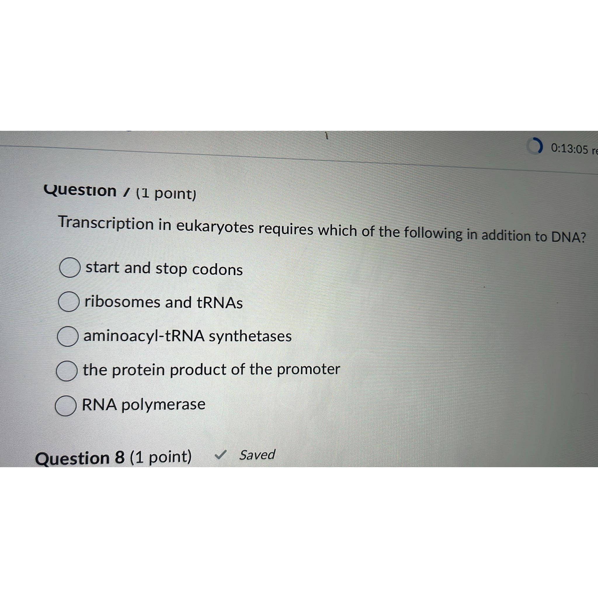 Solved Question / (1 ﻿point)Transcription in eukaryotes | Chegg.com