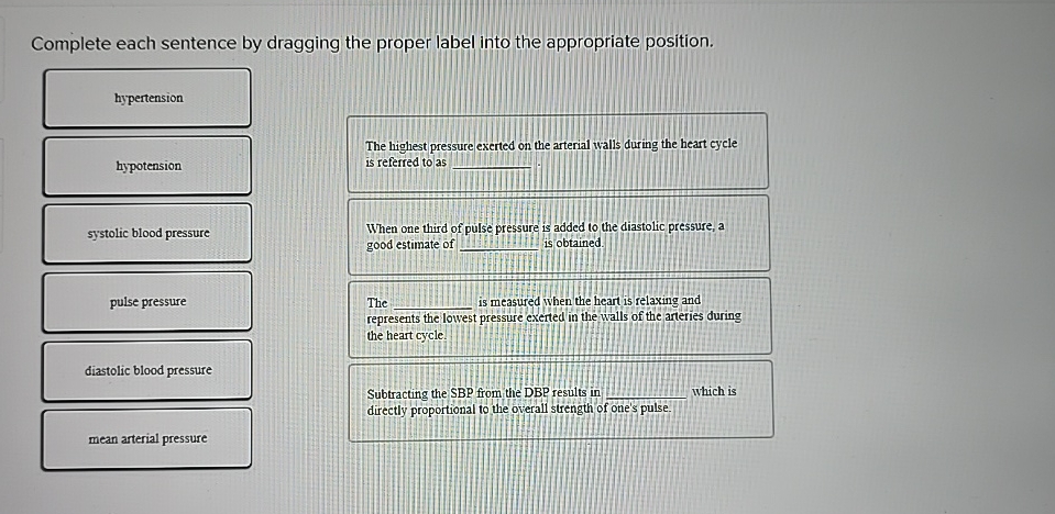 Solved Complete each sentence by dragging the proper label | Chegg.com