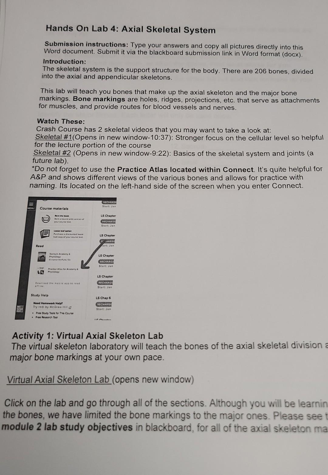 Hands On Lab 4: Axial Skeletal System Submission | Chegg.com