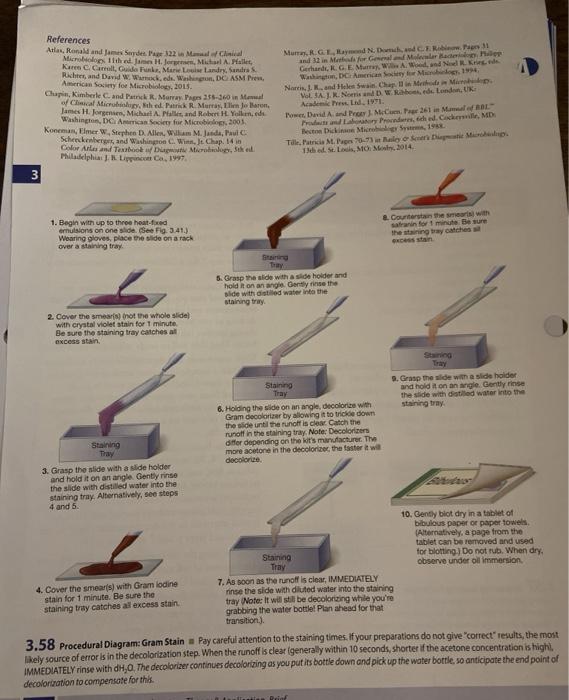 Solved Part III. The stains we will be working with in lab | Chegg.com