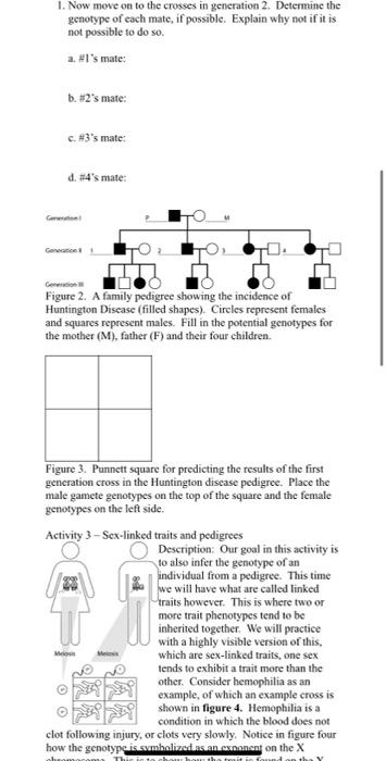 Solved OO Lab 6 Human Genetics Activity 2 - Autosomal traits | Chegg.com