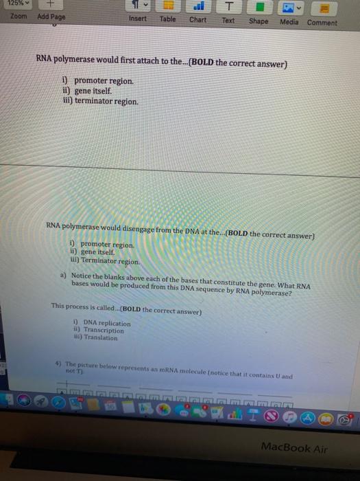 Solved Zoom Add Page Insert Table Chart Text Shape Media | Chegg.com