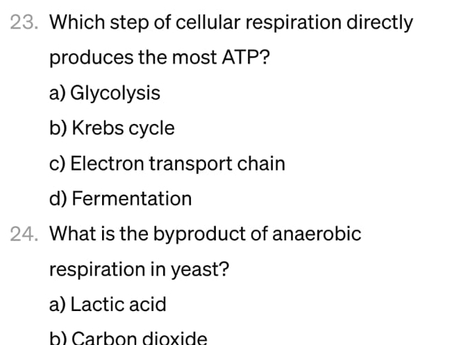 Solved Which step of cellular respiration directly produces | Chegg.com