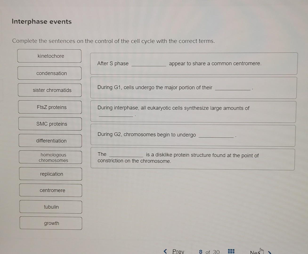 Solved Interphase events Complete the sentences on the | Chegg.com