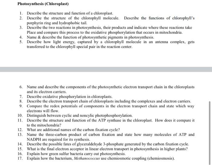 Solved Photosynthesis (Chloroplast) 1. Describe the | Chegg.com