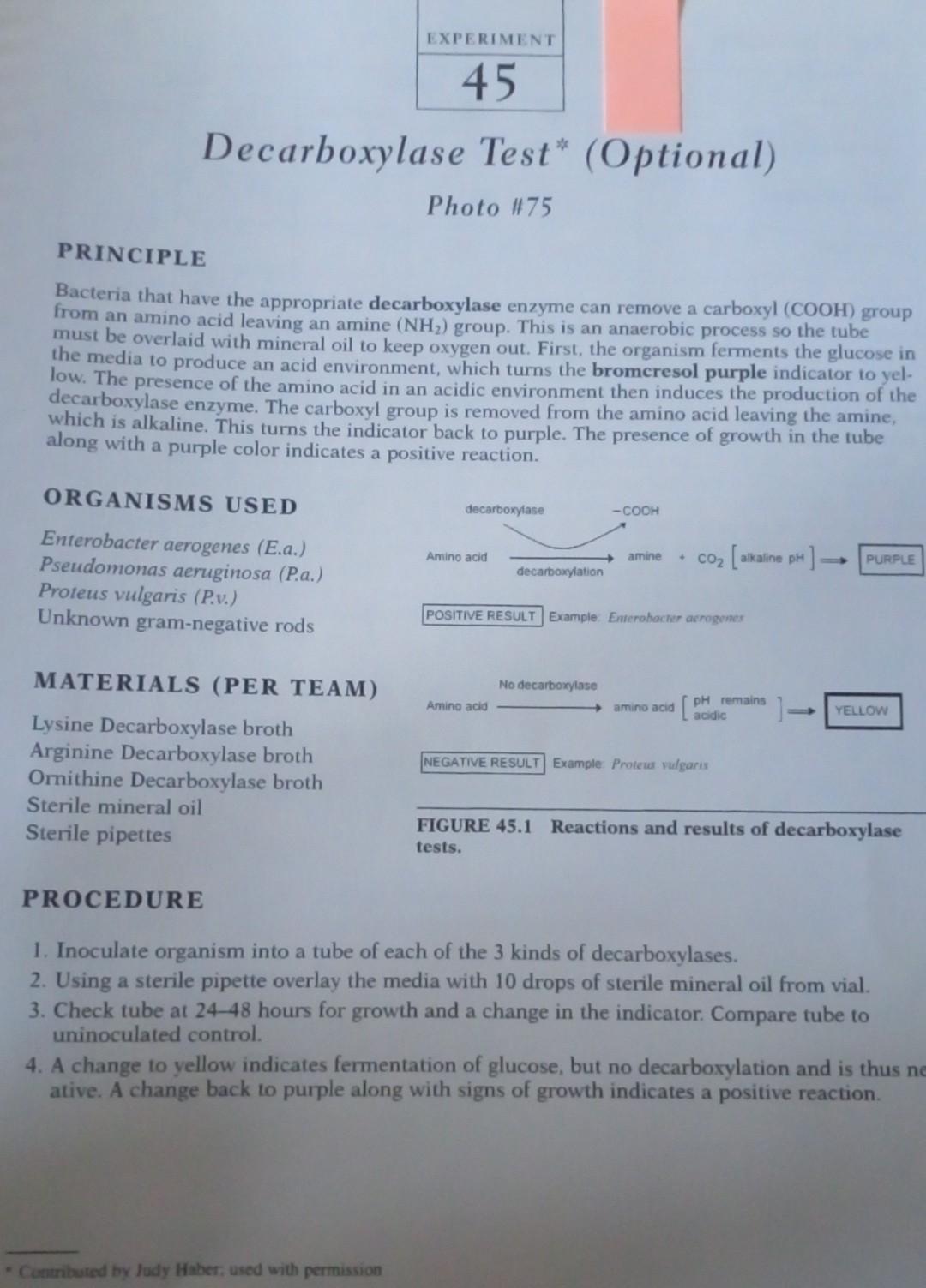 Solved EXPERIMENT 45 Decarboxylase Test* (Optional) Photo | Chegg.com