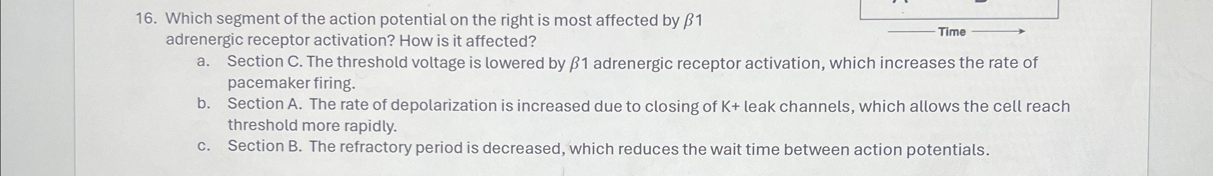 Solved Which segment of the action potential on the right is | Chegg.com