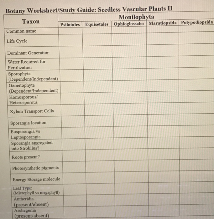 Botany Worksheet/Study Guide: Protists Taxon Common | Chegg.com