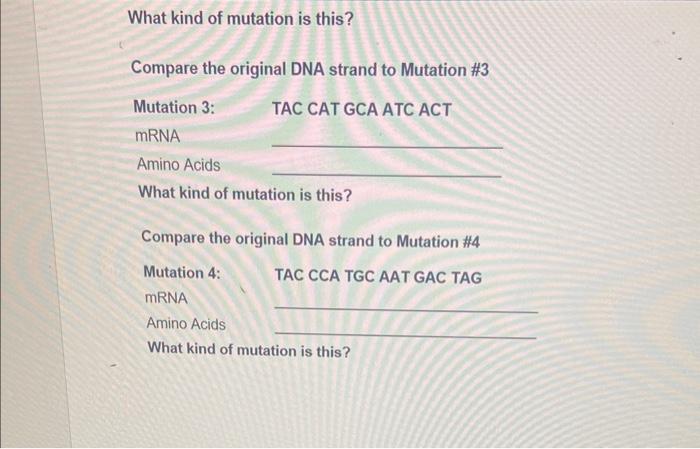 Solved Mutation Activity Worksheet Transcribe the original | Chegg.com