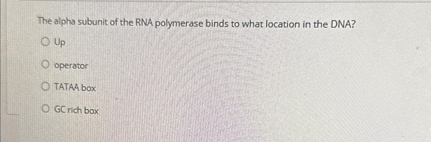 Solved The alpha subunit of the RNA polymerase binds to what | Chegg.com