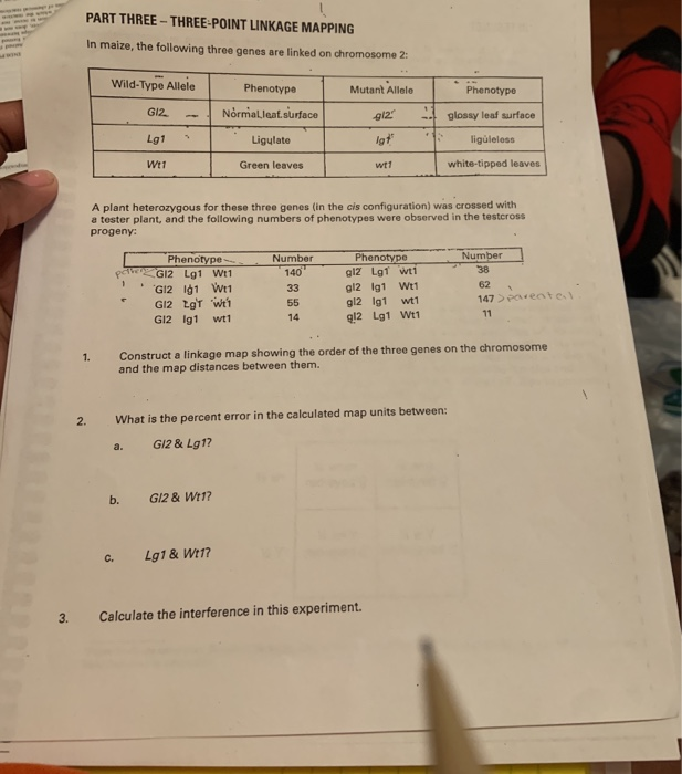 Solved PART THREE - THREE-POINT LINKAGE MAPPING In maize, | Chegg.com
