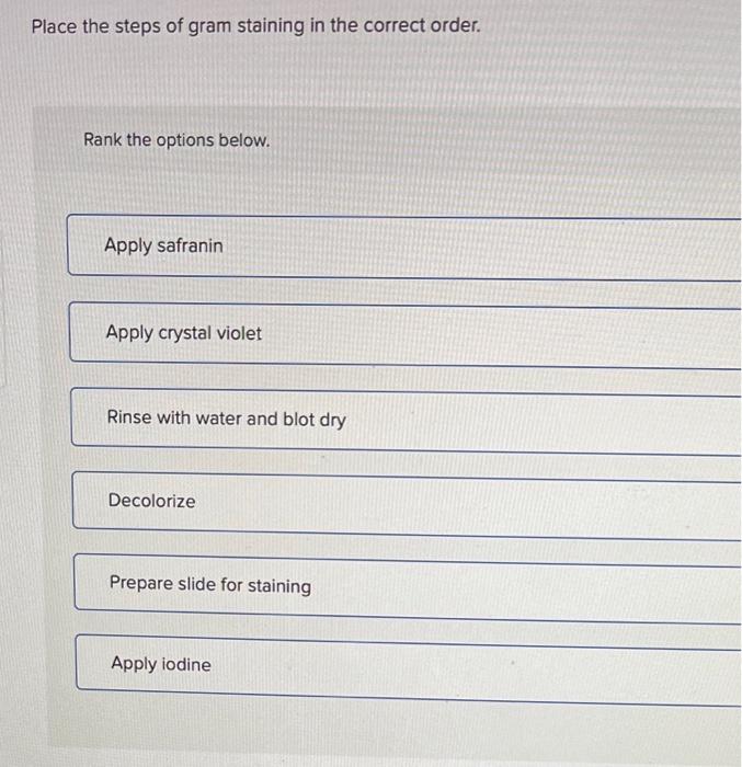 Solved Place the steps of gram staining in the correct | Chegg.com
