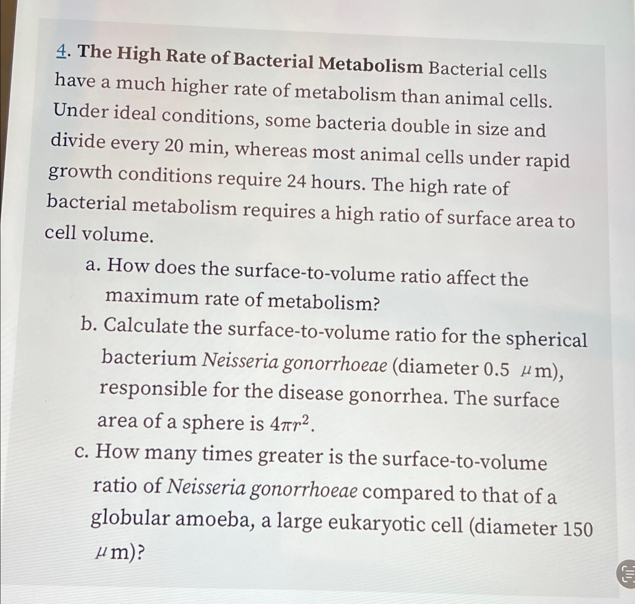 Solved The High Rate of Bacterial Metabolism Bacterial cells | Chegg.com