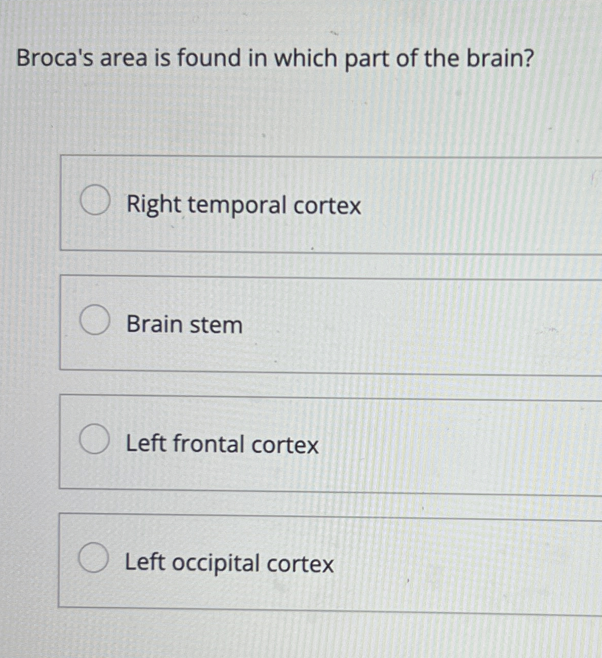 Solved Patients with damage in the occipital cortex lose the | Chegg.com