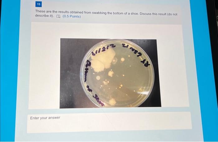 Solved Microbial Populations: Ubiquity I and II Hi, | Chegg.com