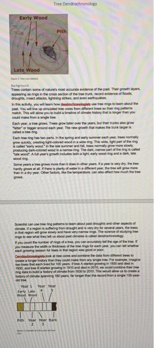 Solved Tree ring cores 2018 Core 1 Core 2 Core 3 Core Pith | Chegg.com