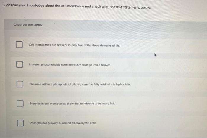 Solved Build a cell membrane Use the labels to draw and | Chegg.com