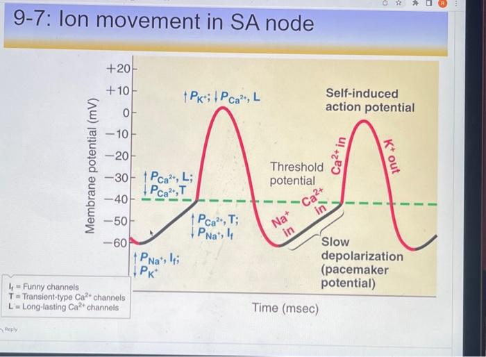 Solved 9-7: Ion movement in SA node | Chegg.com