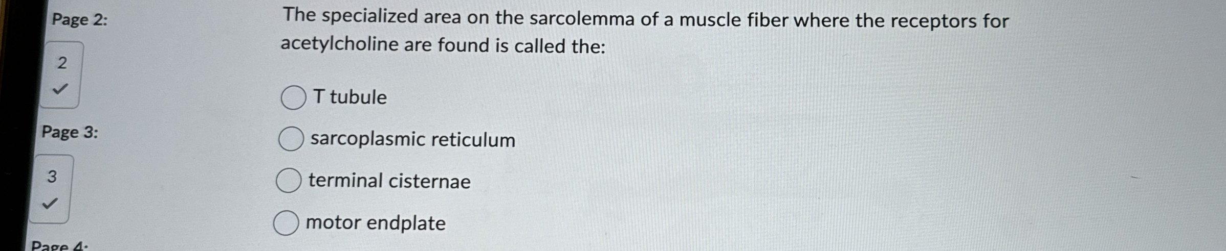 Solved Page 2: , ﻿The specialized area on the sarcolemma of | Chegg.com
