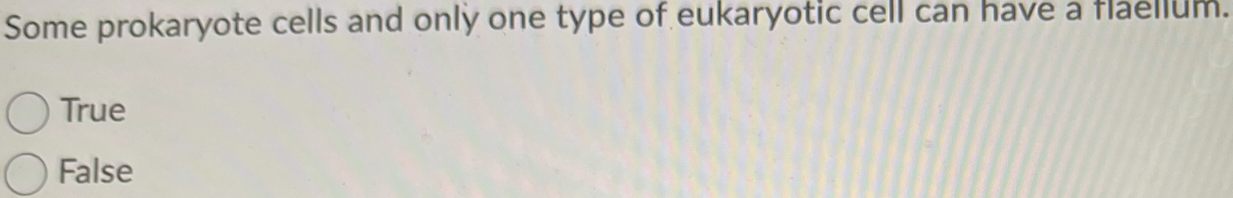 Solved Some prokaryote cells and only one type of eukaryotic | Chegg.com