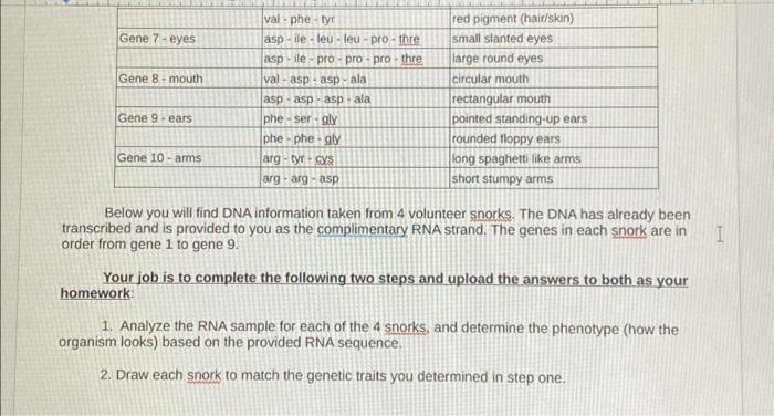 Solved Dna Rna And Snorks Introduction In This Activity