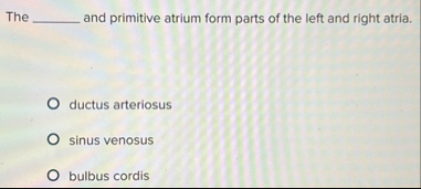 Solved The ﻿and primitive atrium form parts of the left | Chegg.com