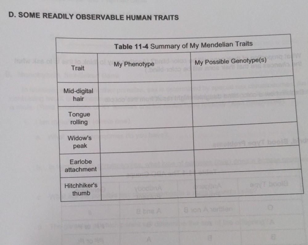 Solved D. SOME READILY OBSERVABLE HUMAN TRAITS Table 11-4 | Chegg.com