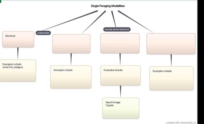 Complete the introduction to foraging concept map | Chegg.com