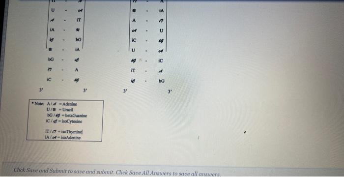 Below are the two alien DNA molecules resulting from | Chegg.com