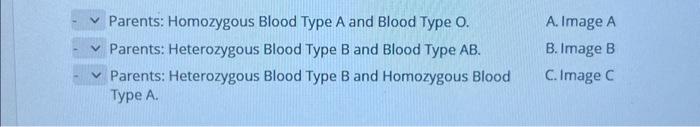 Solved IMAGE B: IMAGE C:Parents: Homozygous Blood Type A and | Chegg.com