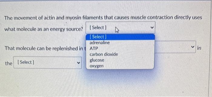 Solved The movement of actin and myosin filaments that | Chegg.com