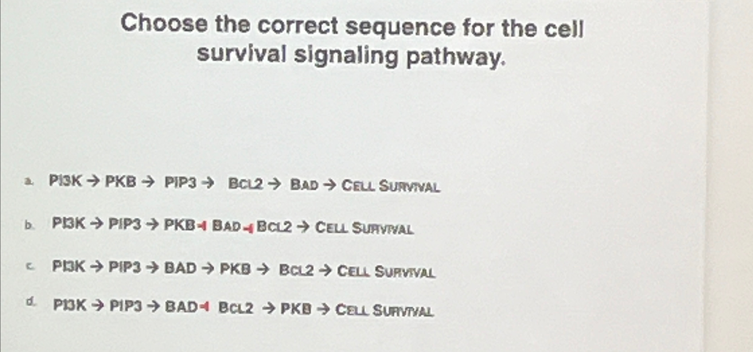 Solved Choose the correct sequence for the cell survival | Chegg.com