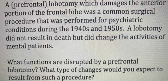 Solved A (prefrontal) lobotomy which damages the anterior | Chegg.com