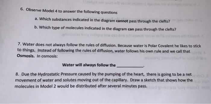 Solved 6. Observe Model 4 to answer the following questions | Chegg.com